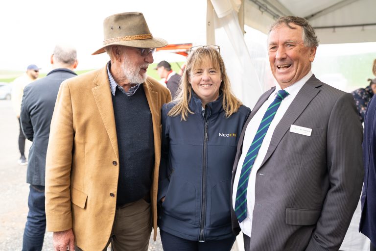 Goyder Renewables Zone - Renewable Energy for South Australia